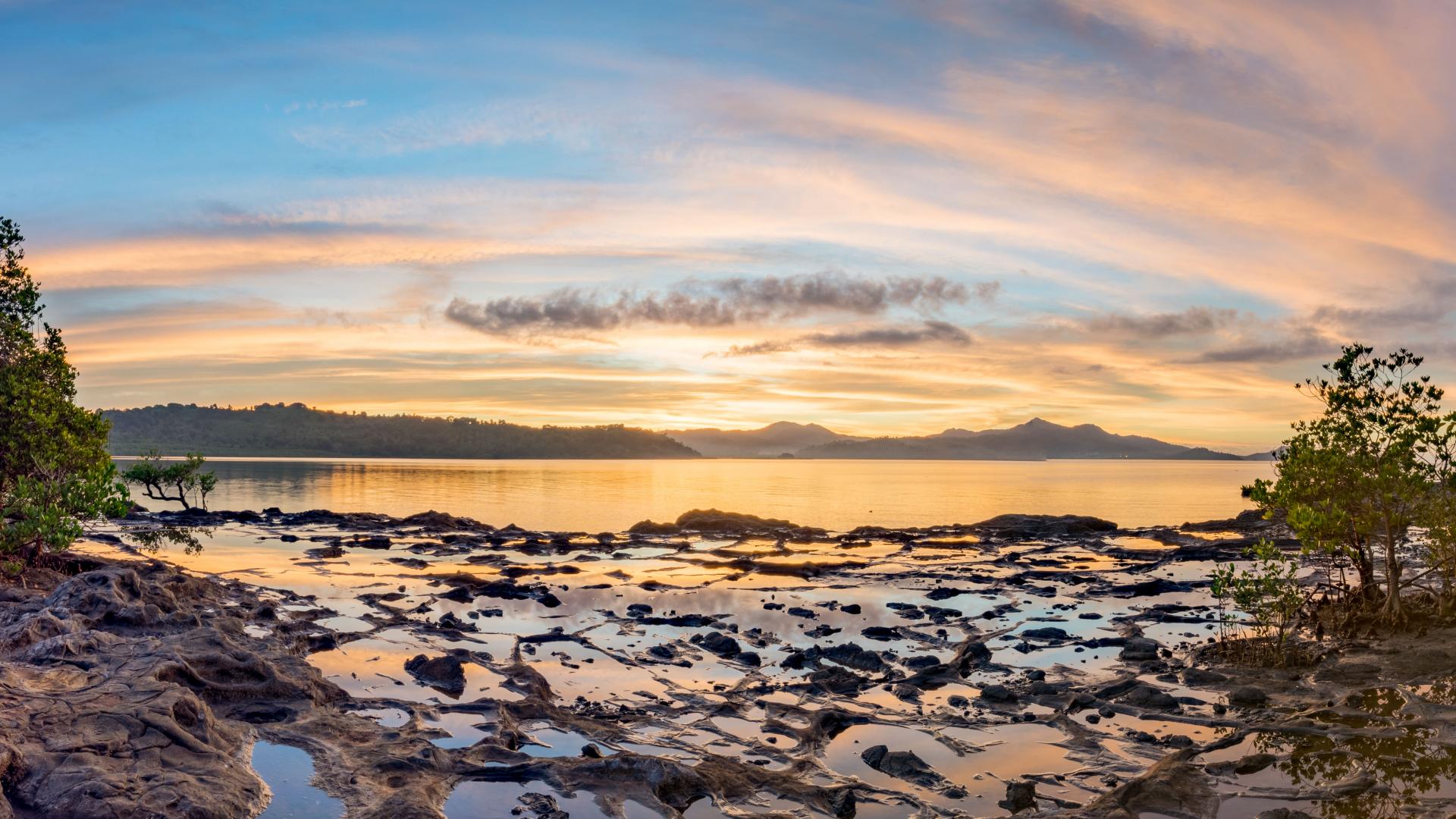La mangrove, rempart contre l’Océan | Mayotte tourisme