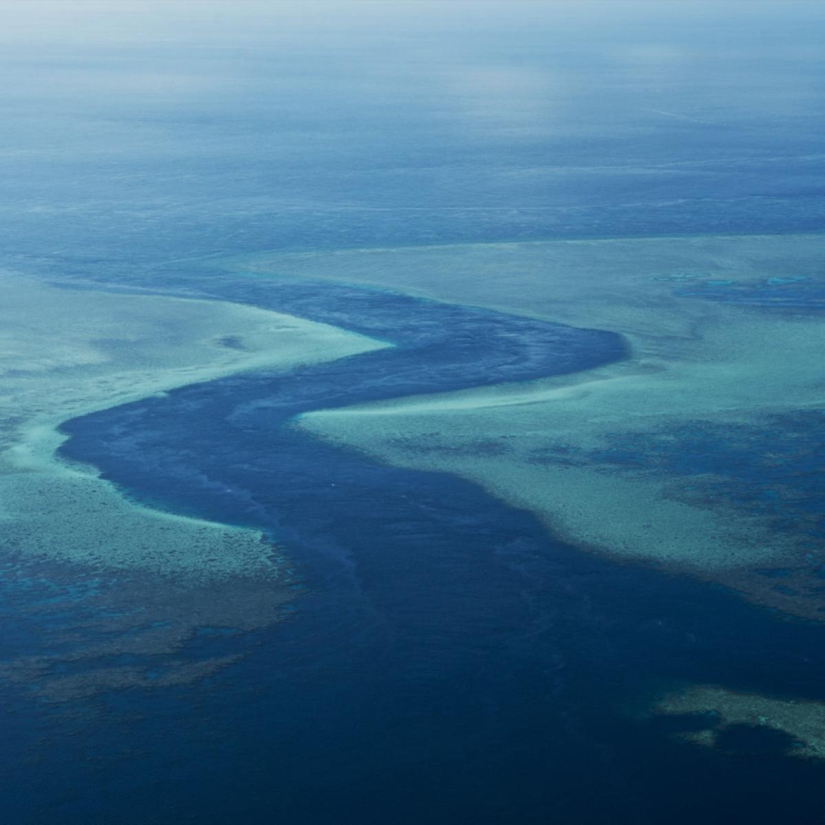 10 plus beaux spots de plongée à Mayotte | Mayotte tourisme