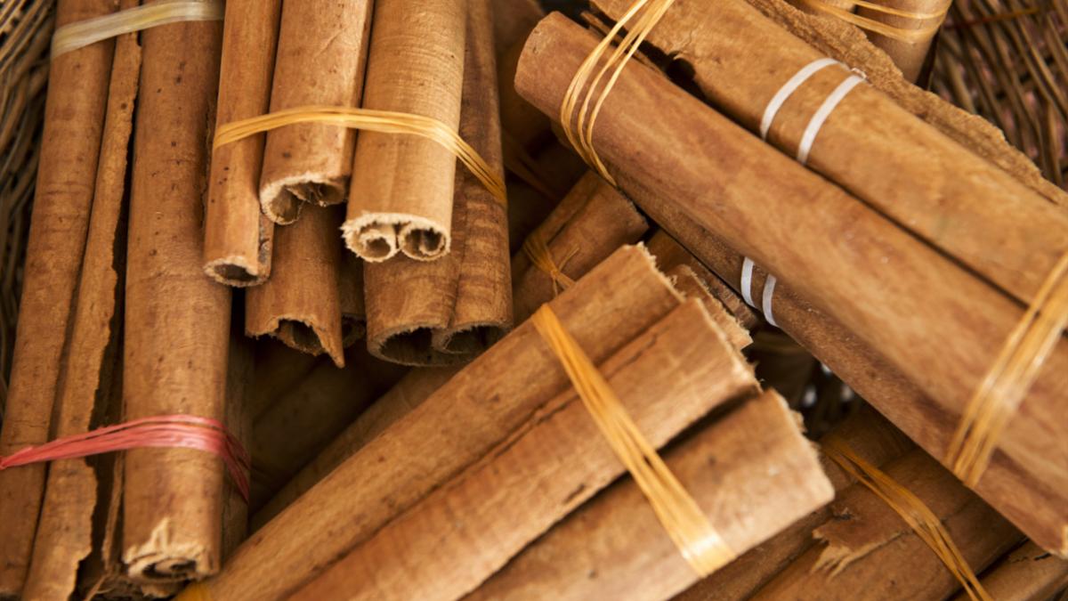 La cannelle, une écorce vertueuse | Mayotte tourisme