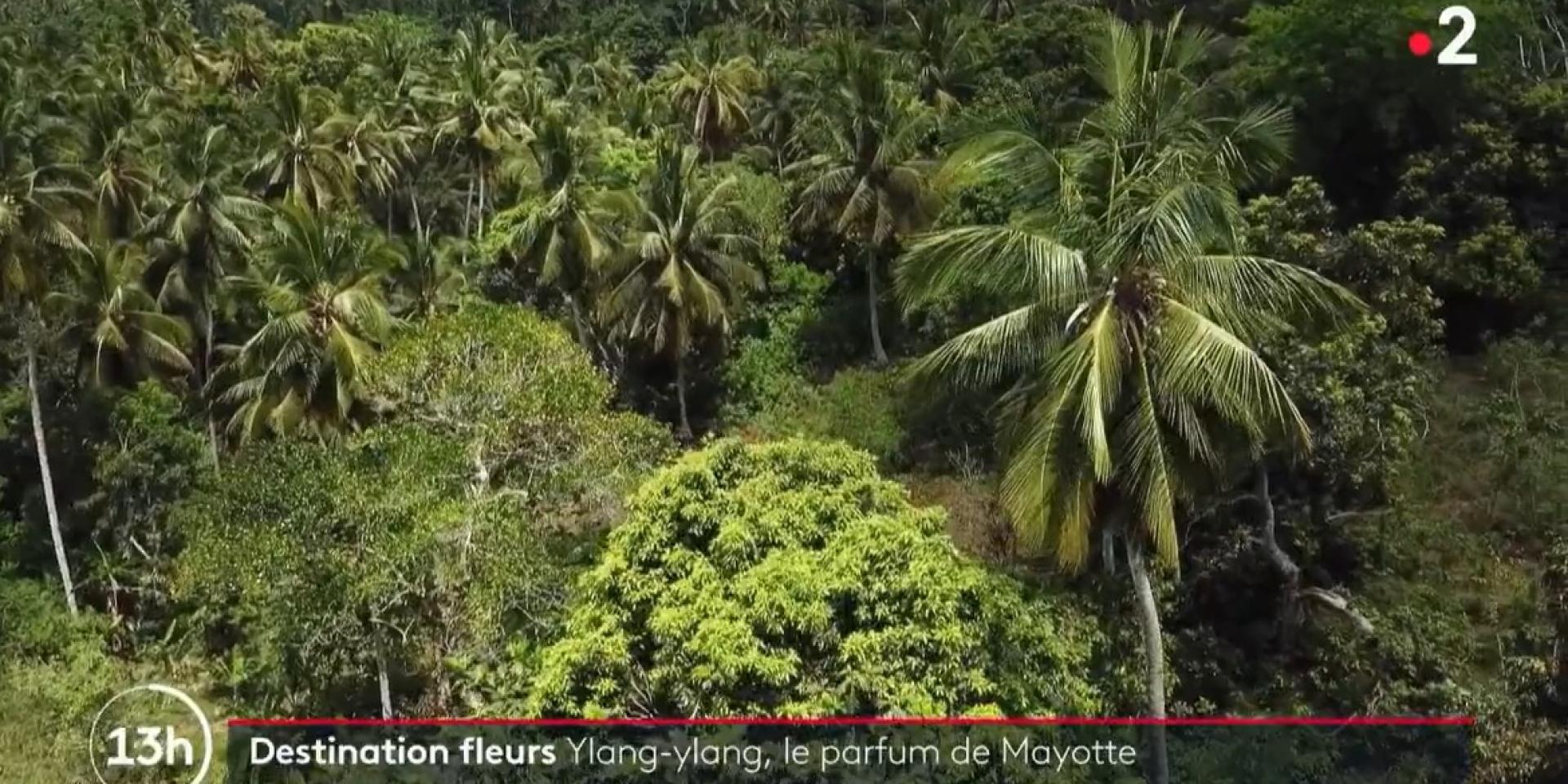 France TV a réalisé 4 reportages sur Mayotte | Mayotte tourisme