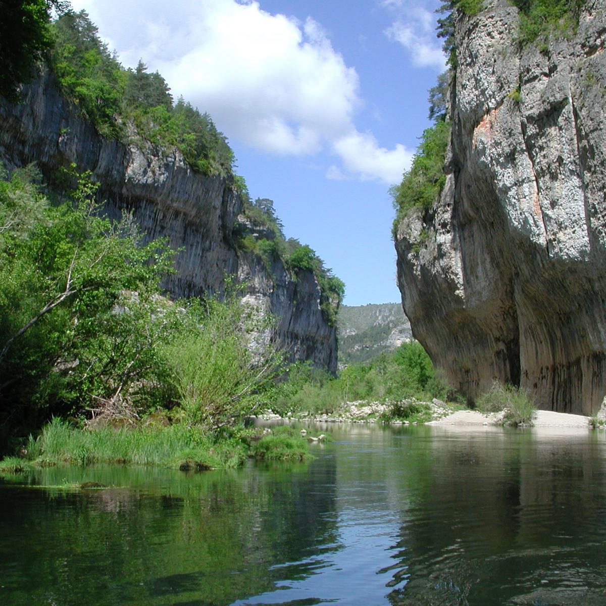 LES BATELIERS DES GORGES DU TARN (La Malene, La Malène) | Mende - Cœur ...