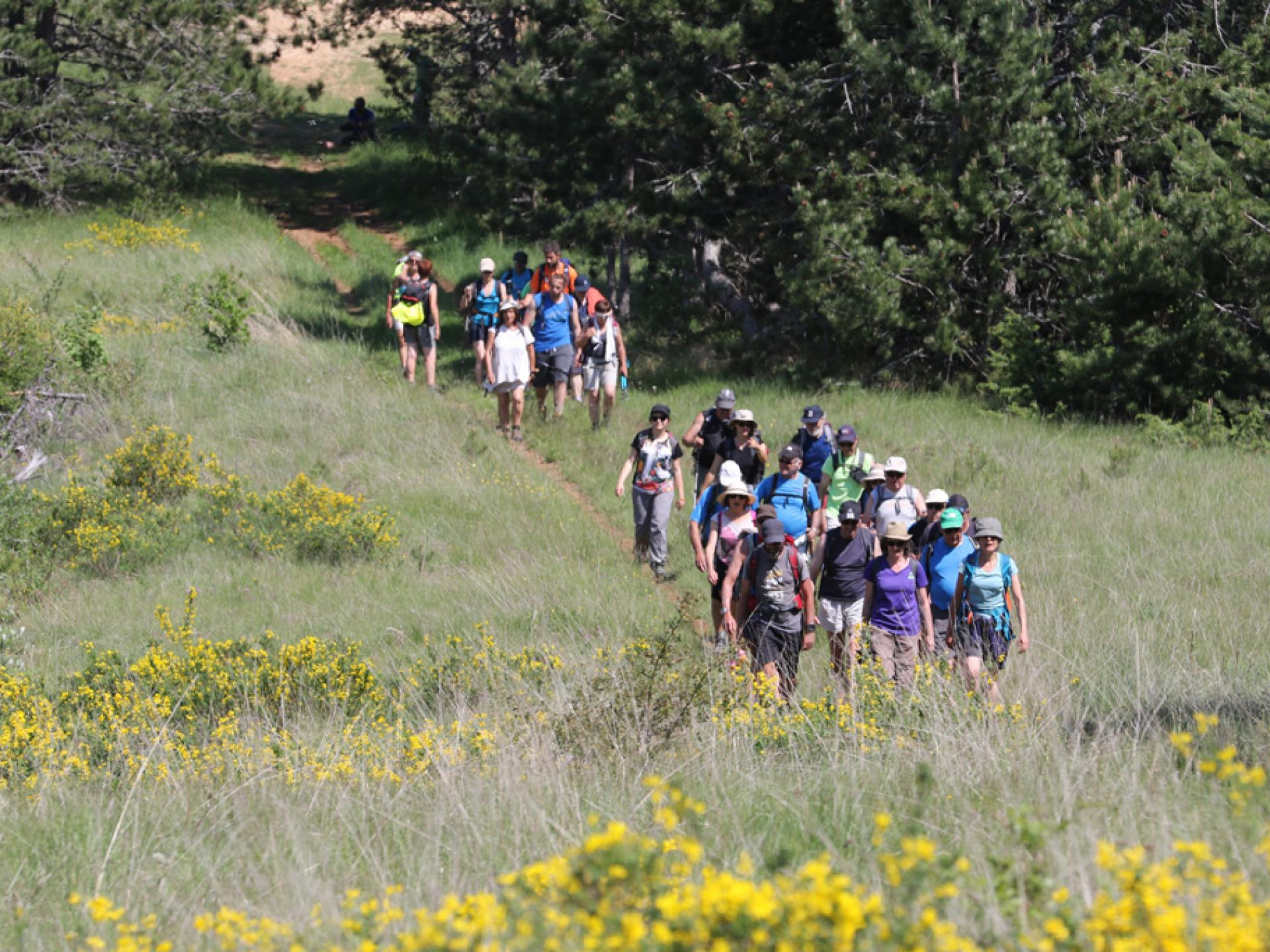 Festival des Randos Lozère - des randonnées, des balades, des ...