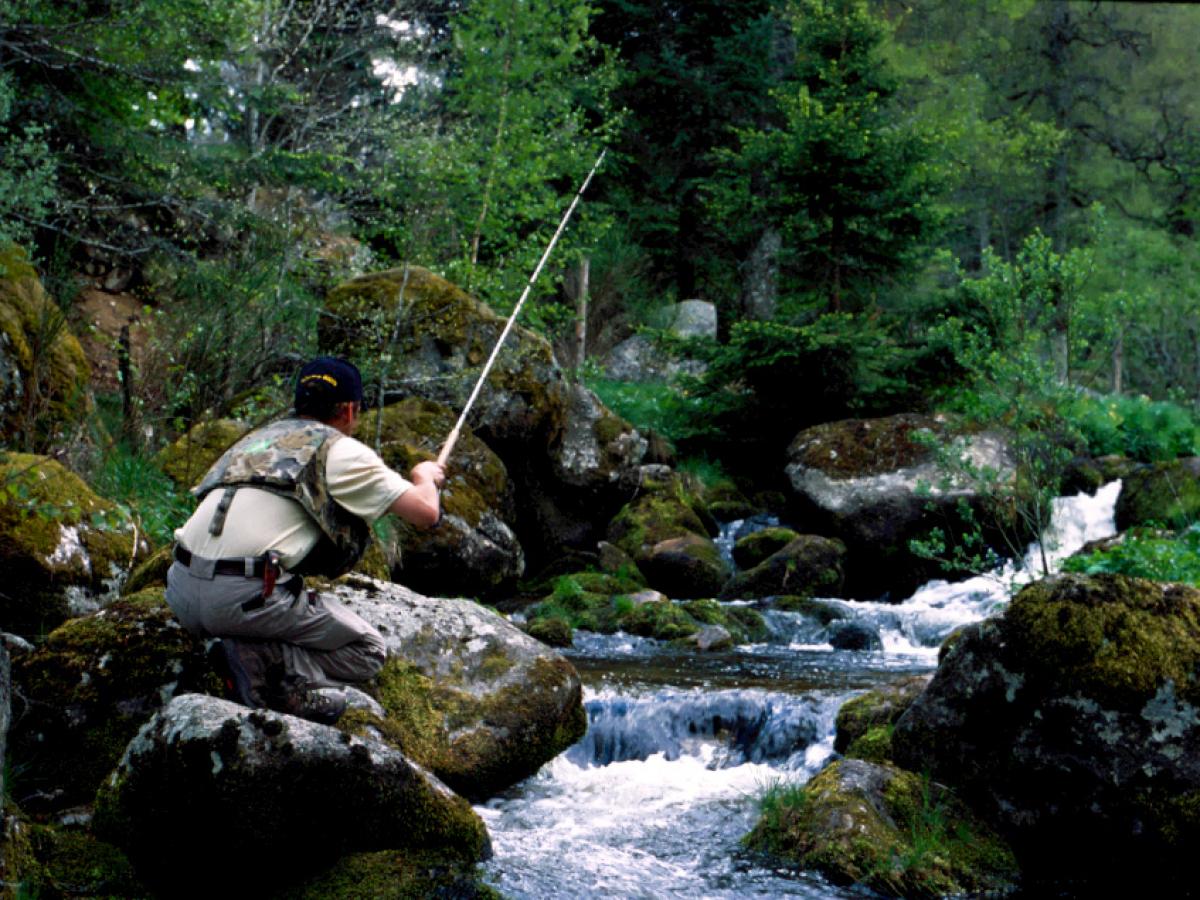 Informations pêche en Cœur Lozère, parcours, guides & sites de pêche