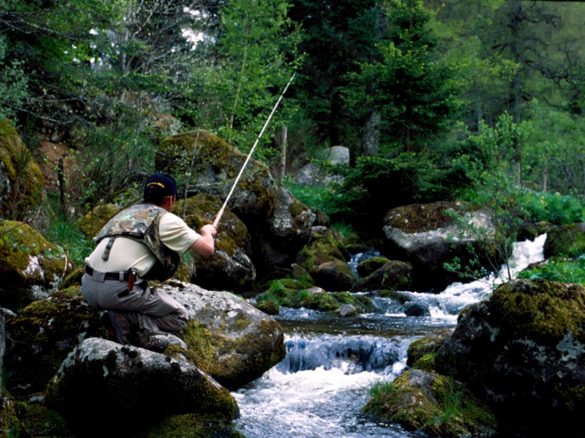 Informations pêche en Cœur Lozère, parcours, guides & sites de pêche
