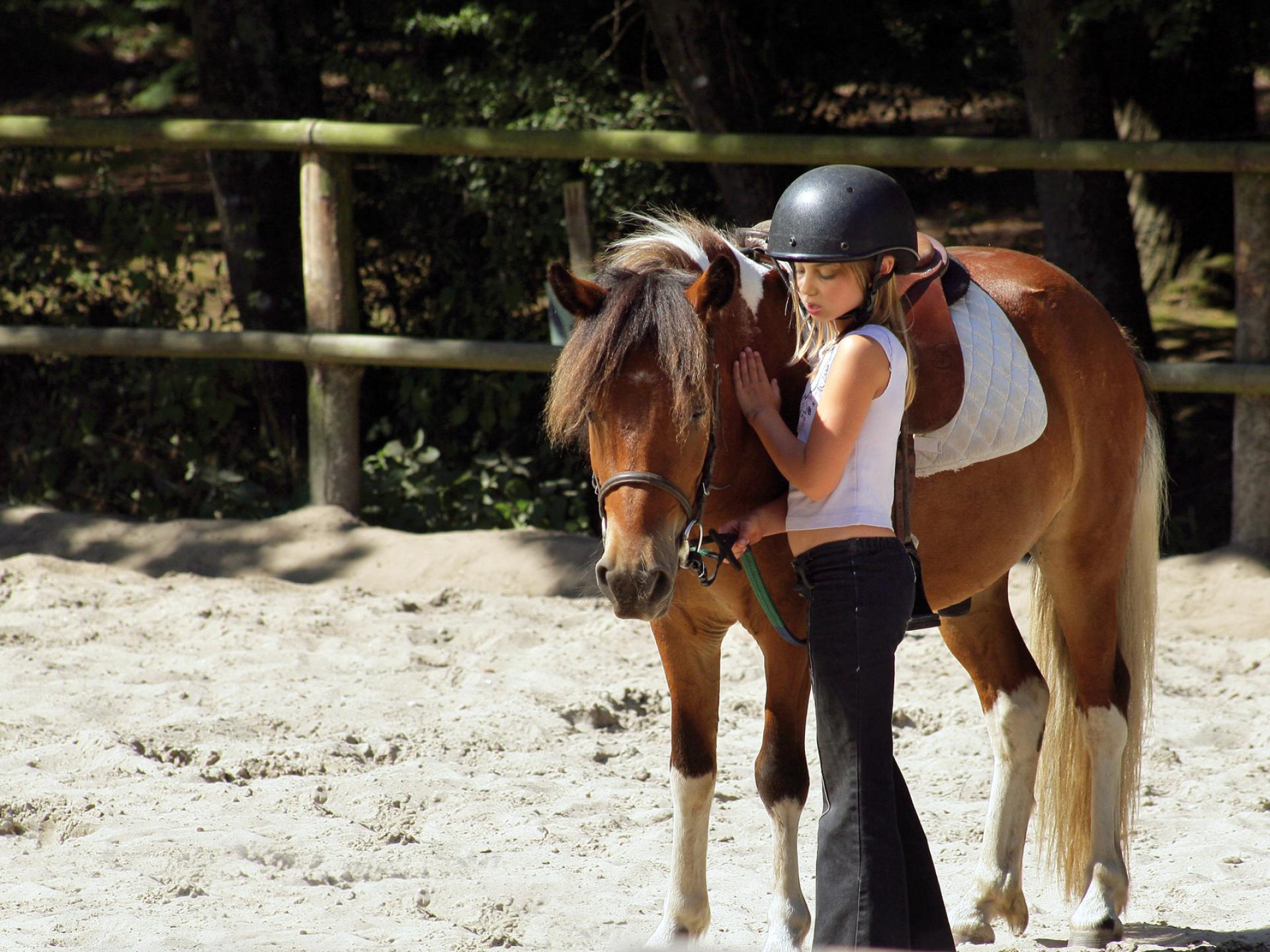 Cheval équitation Lozère, activités équestres, balade poney, excursion