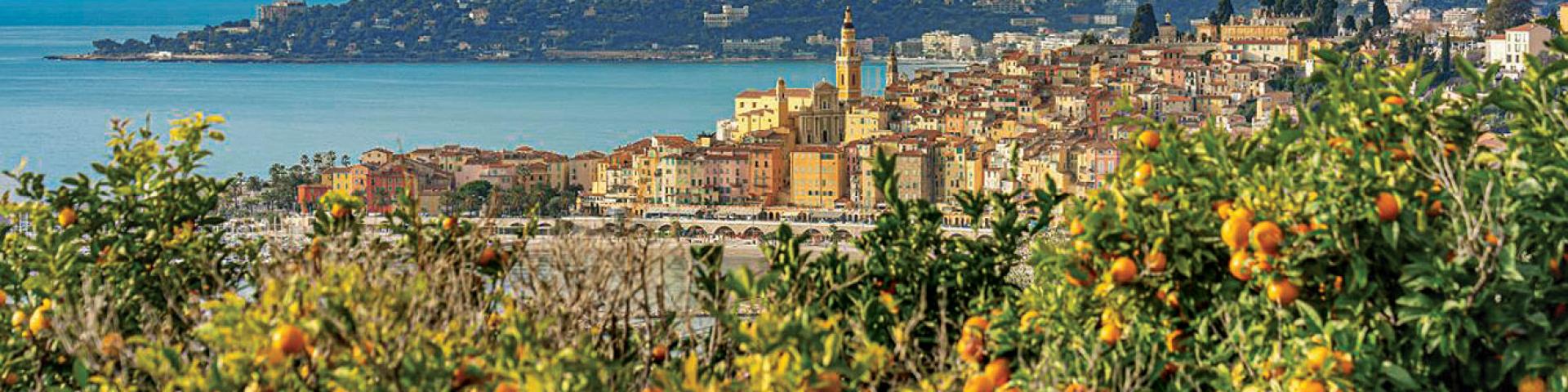 Il Limone di Mentone | L'ufficio del Turismo Mentone, Riviera & Merveilles