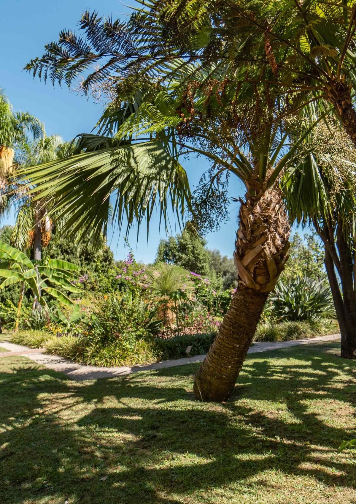 Les Halles Market | Menton, Riviera & Merveilles Tourist Office