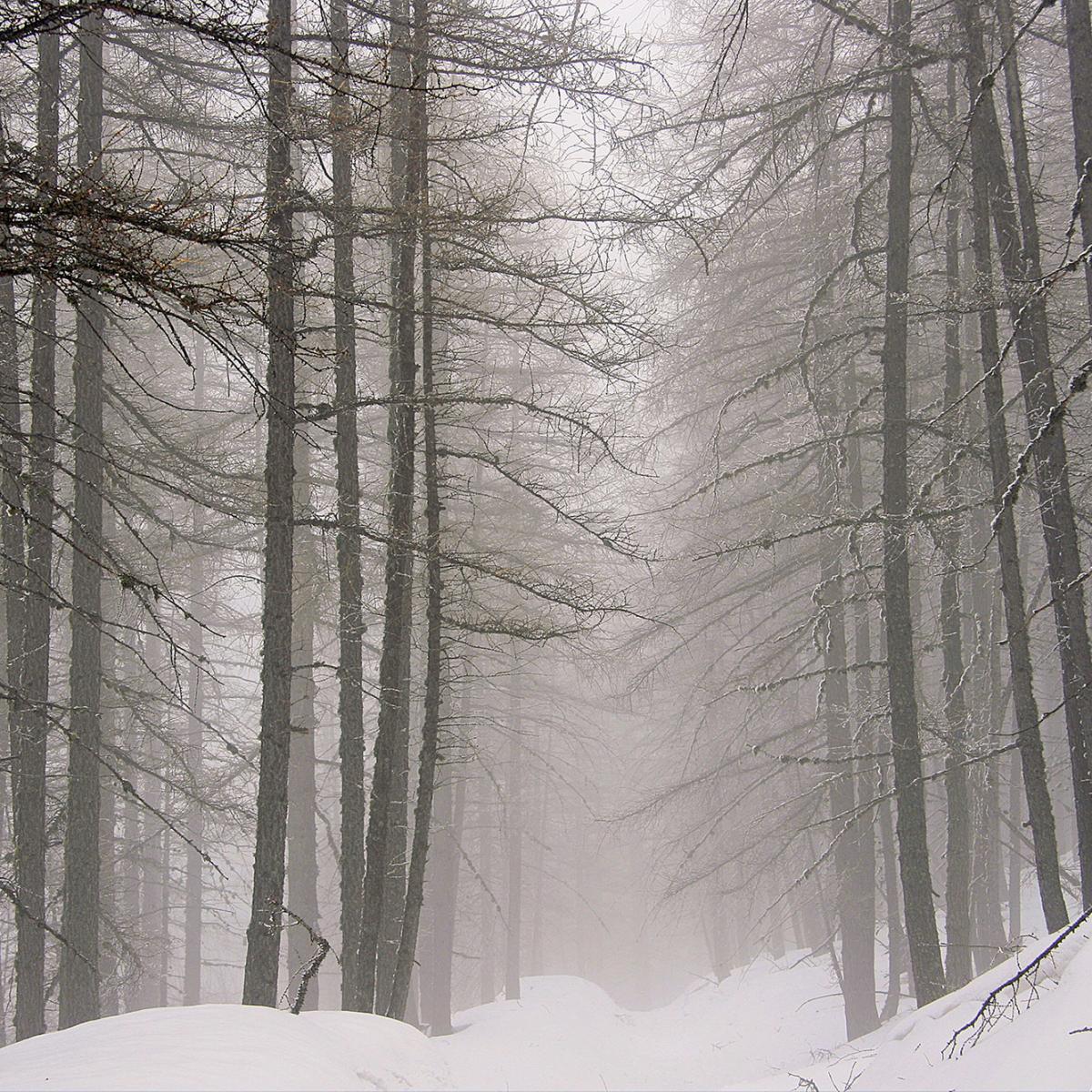 Neige | Office de Tourisme Menton, Riviera & Merveilles