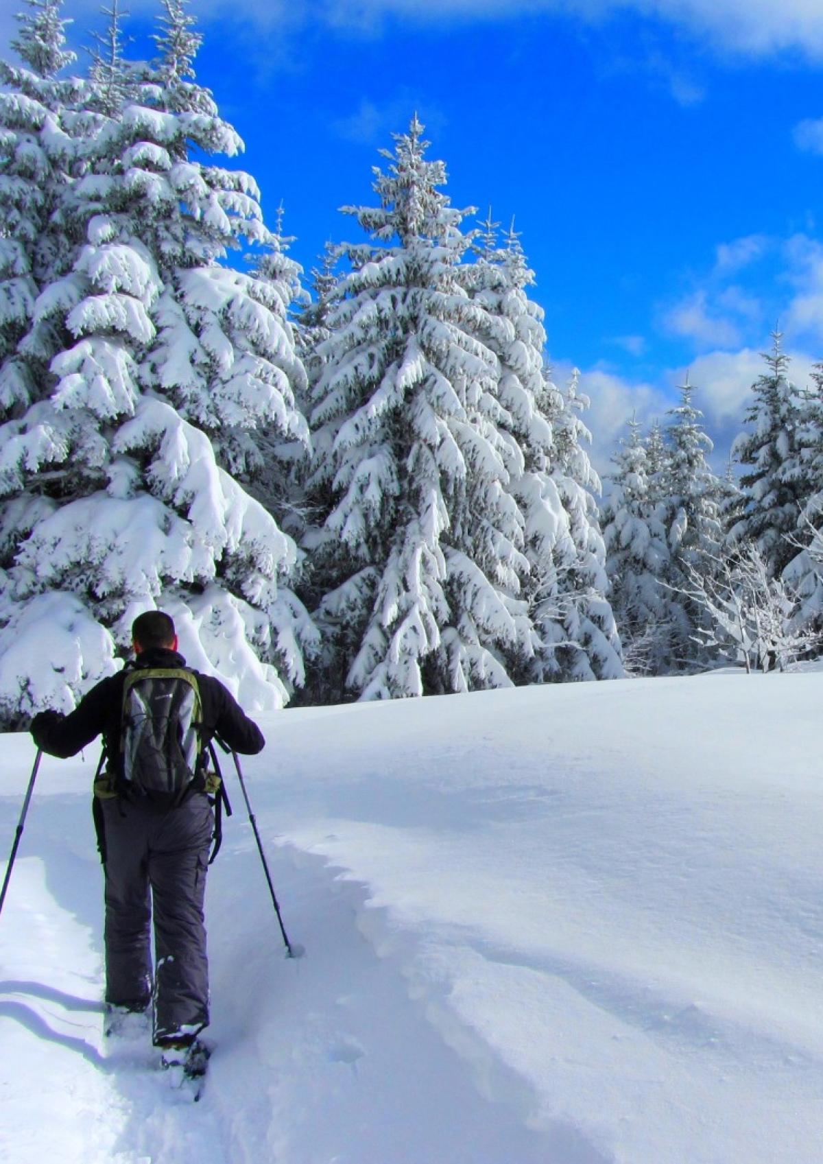 Top 4 winter activities in the Real Wonderland | Menton, Riviera ...