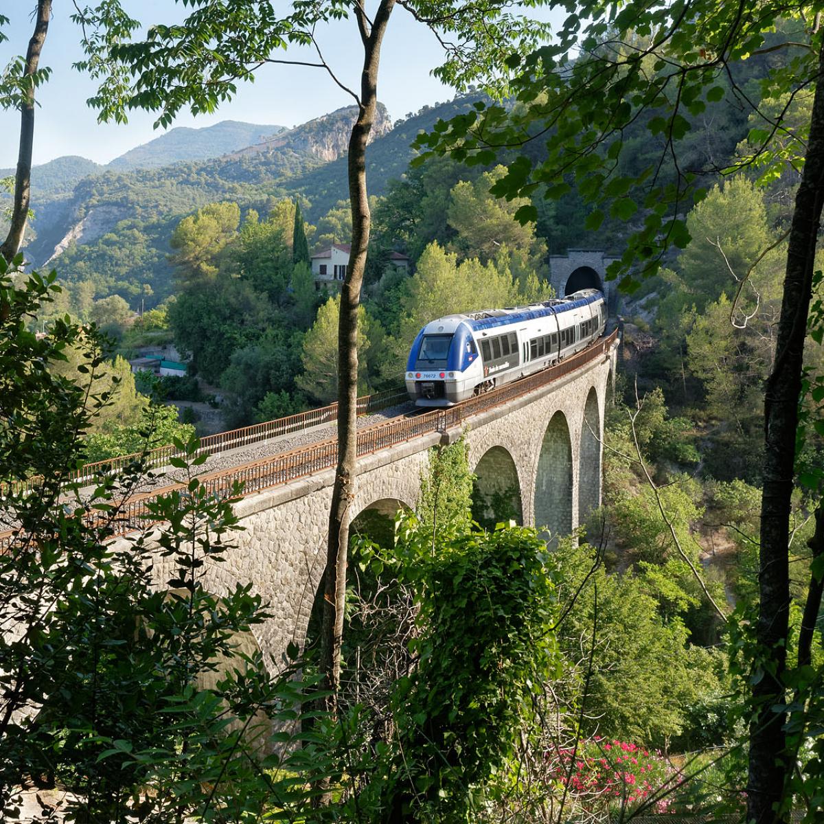 Wonder Train (“Le train des Merveilles”) | Menton, Riviera & Merveilles ...