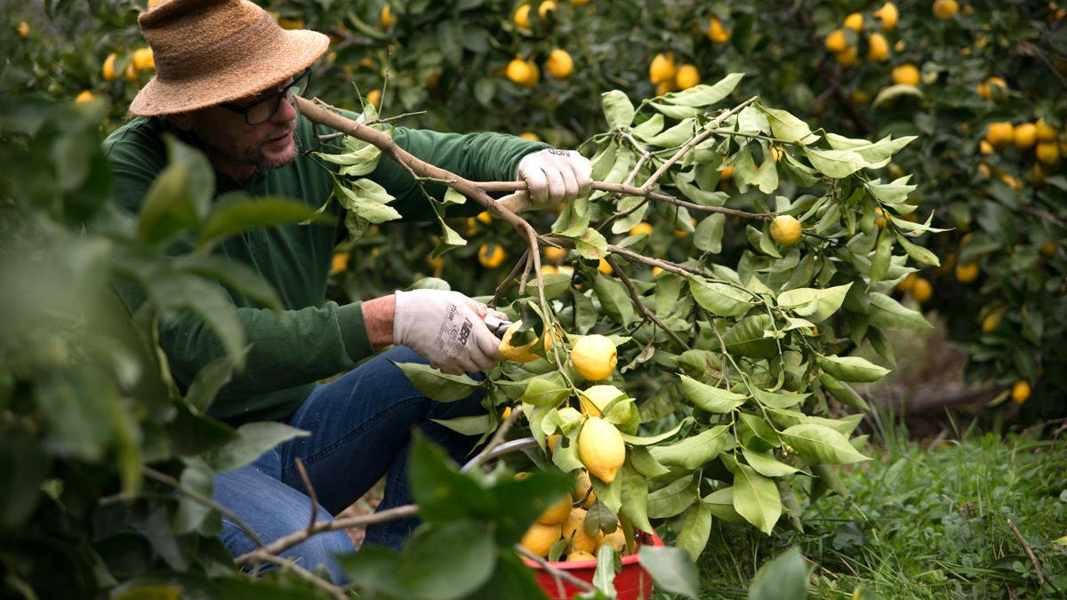 Our Maps | Menton, Riviera & Merveilles Tourist Office