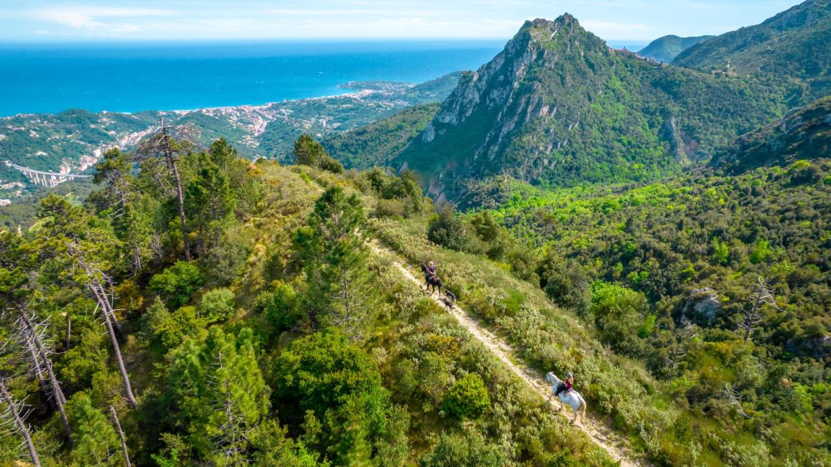 Our Maps | Menton, Riviera & Merveilles Tourist Office