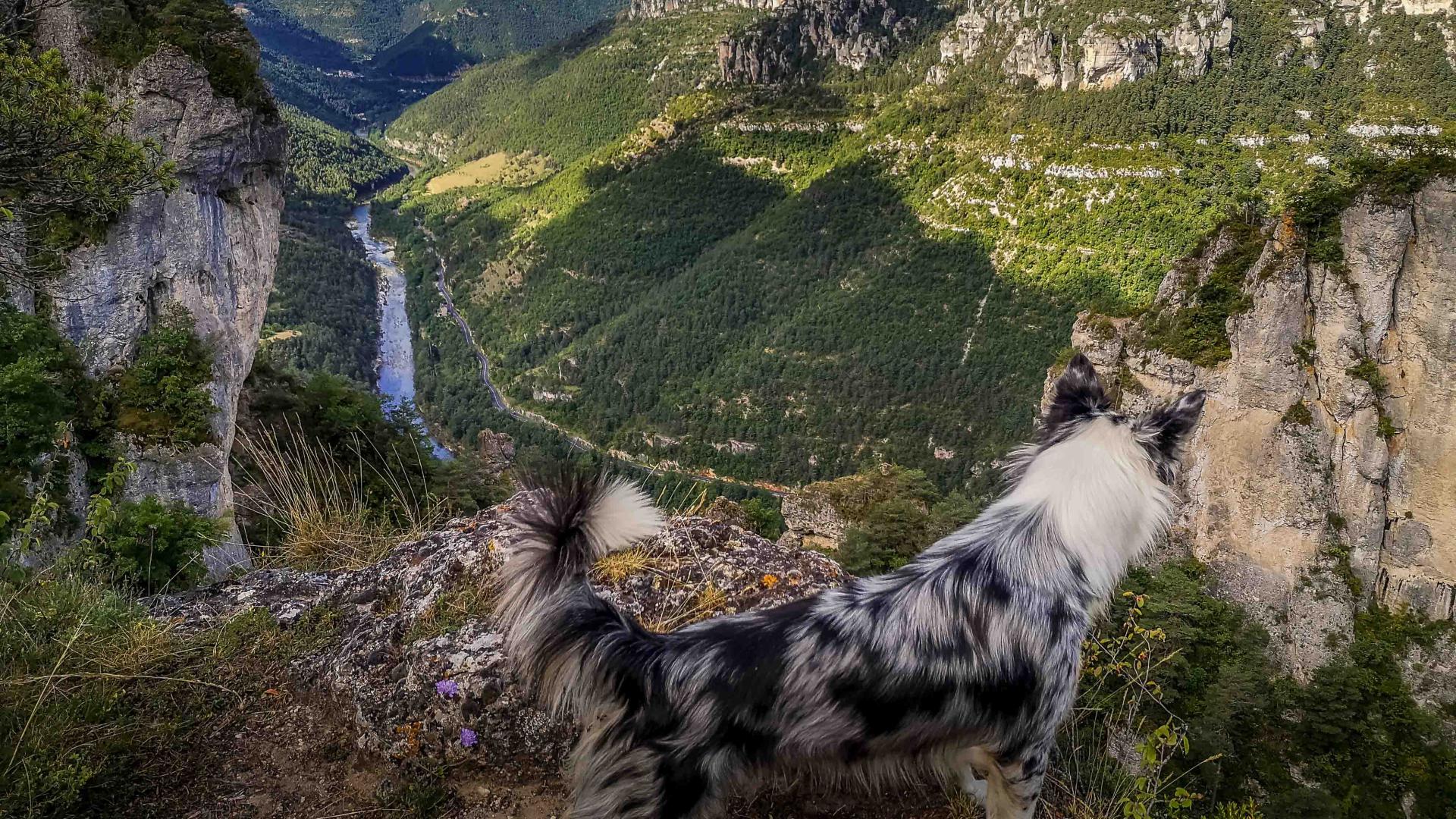 Top 3 wandelingen met ladders in de Gorges du Tarn | Explore Millau