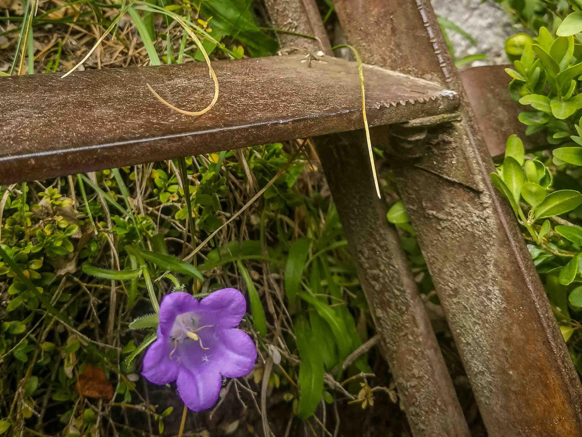 El Sentier des Echelles | Explore Millau