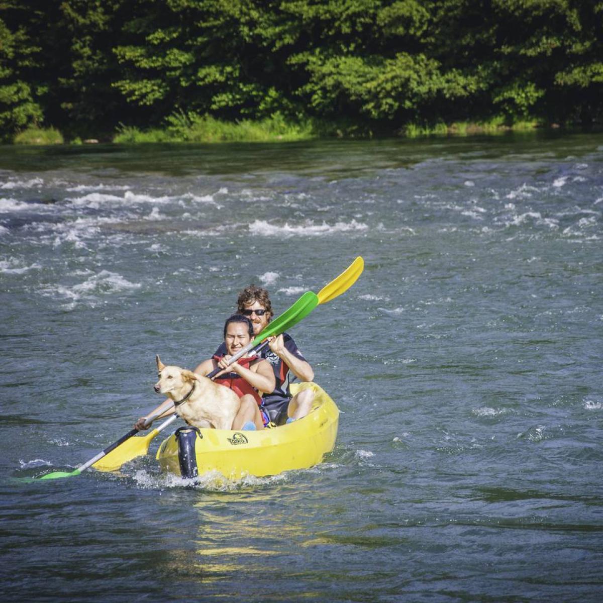 The Millau Viaduct from top to bottom | Explore Millau