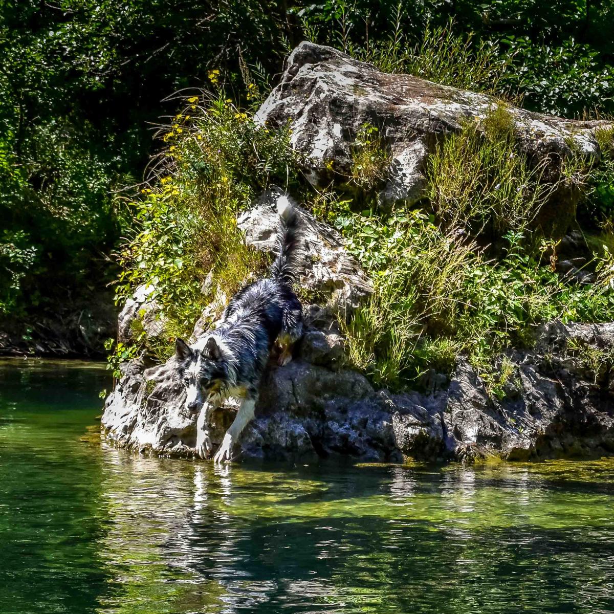 Swimming in the Gorges du Tarn | Explore Millau