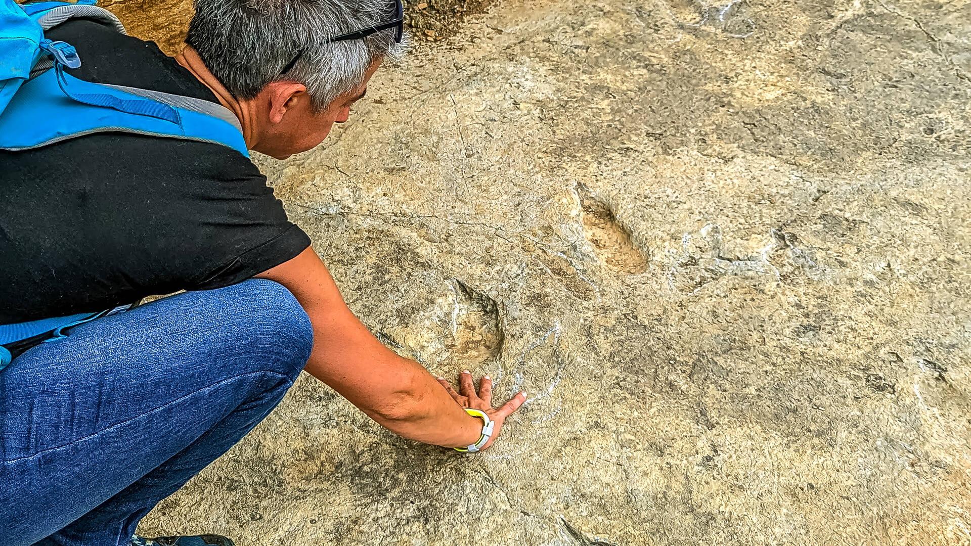 Oh! A dinosaur, a real one! | Explore Millau