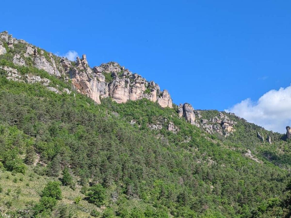 Un saut pendulaire dans les Gorges de la Dourbie | Explore Millau