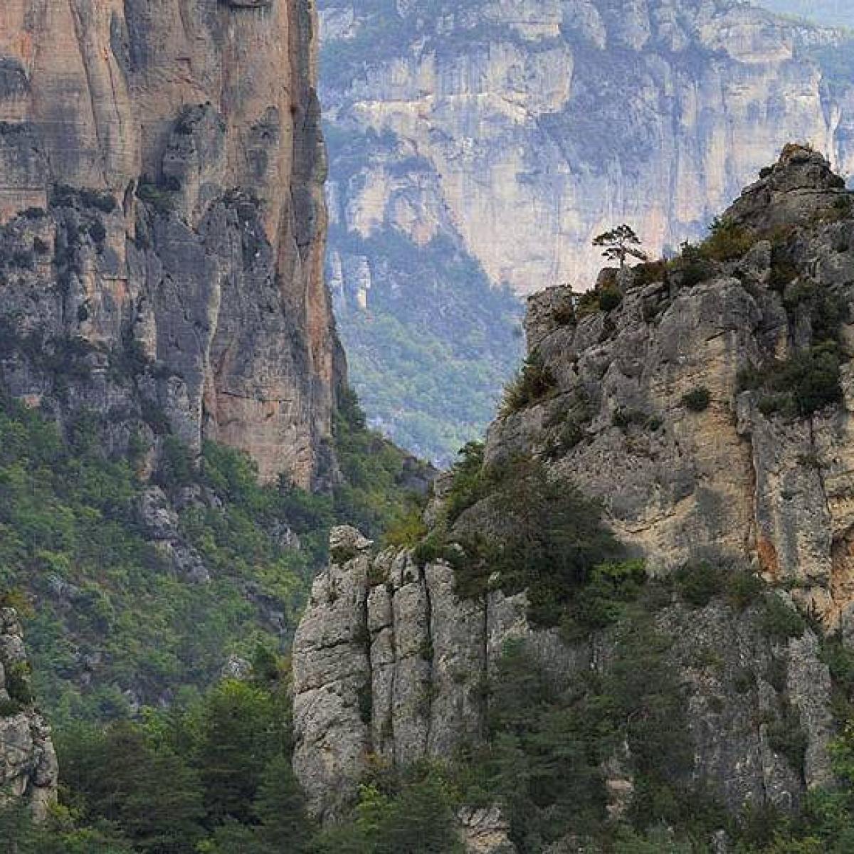 Les Grandes voies des Gorges de la Jonte | Explore Millau