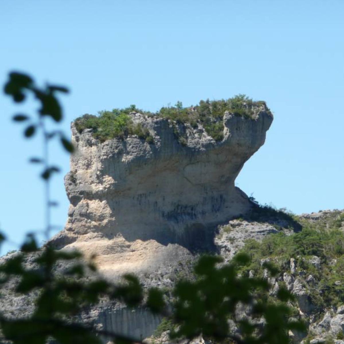 Multi-actief verblijf in de Gorges du Tarn en de Jonte | Explore Millau