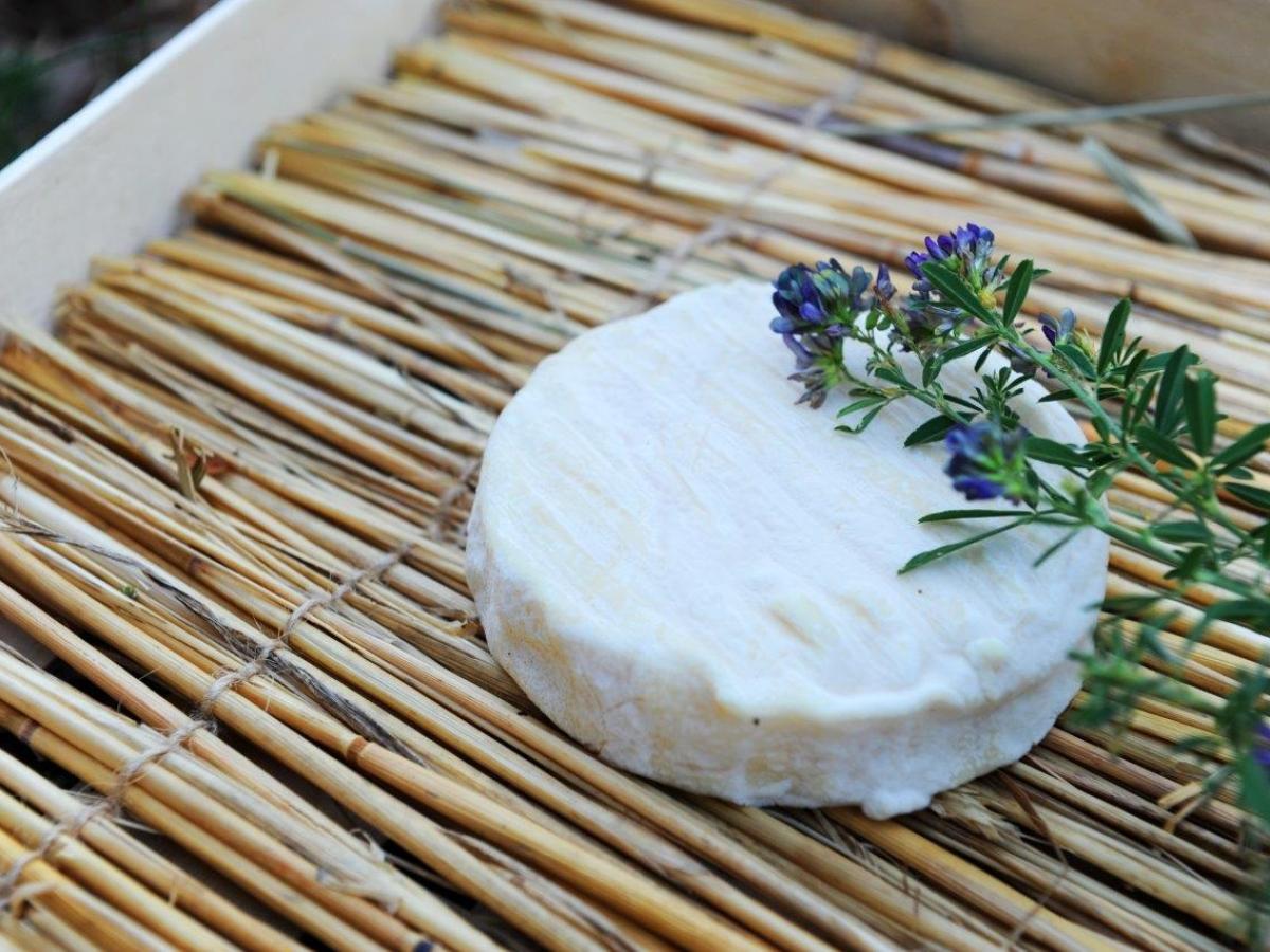 Our values | Explore Millau