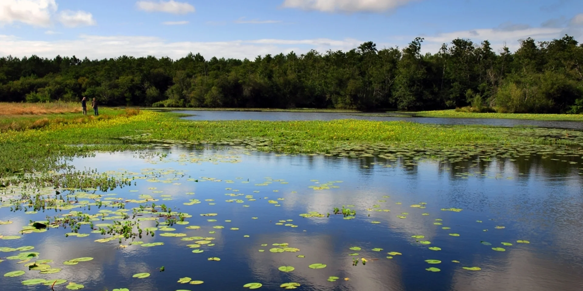 Visites guidées au lac de Mimizan (Aureilhan) | Mimizan Tourisme