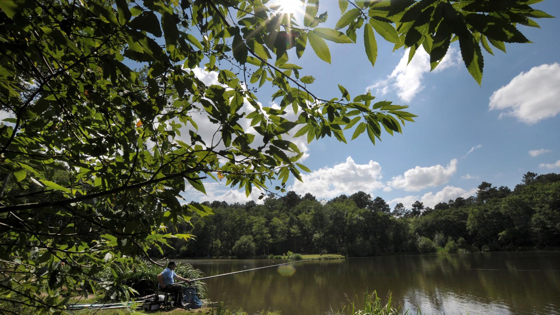 Le lac de pêche | Mont de Marsan Tourisme