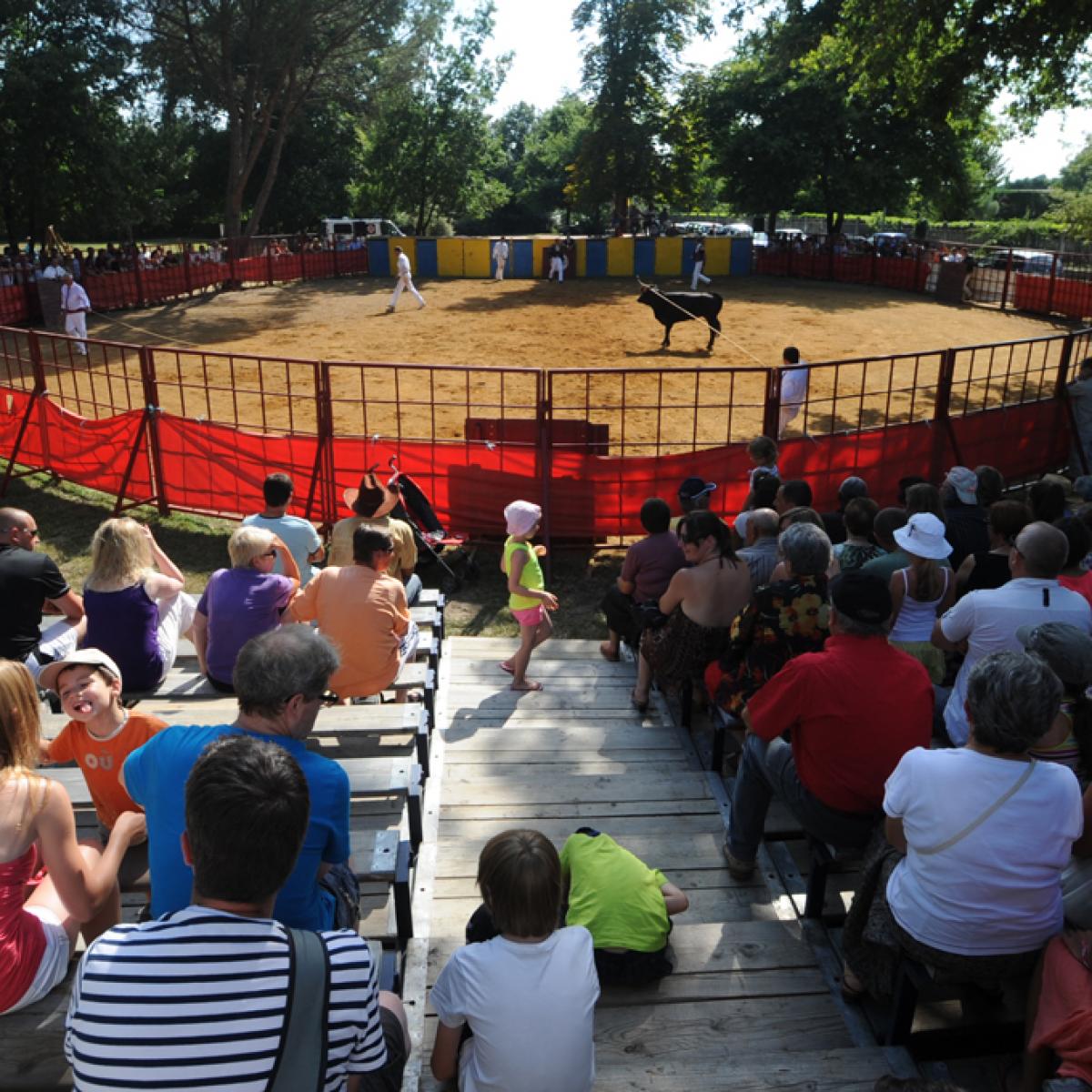 Les différents types de courses landaises | Mont de Marsan Tourisme