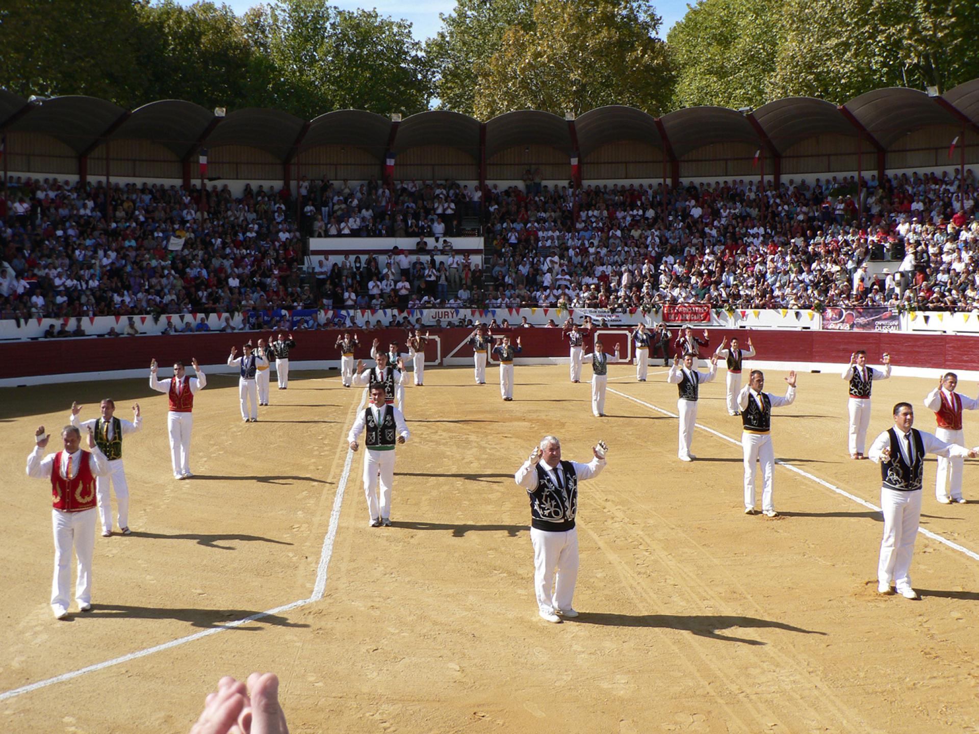Découvrir la course landaise | Mont de Marsan Tourisme