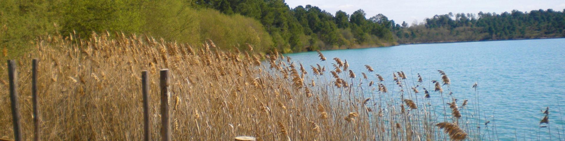 Paddle en famille au lac d’Arjuzanx | Mont de Marsan Tourisme