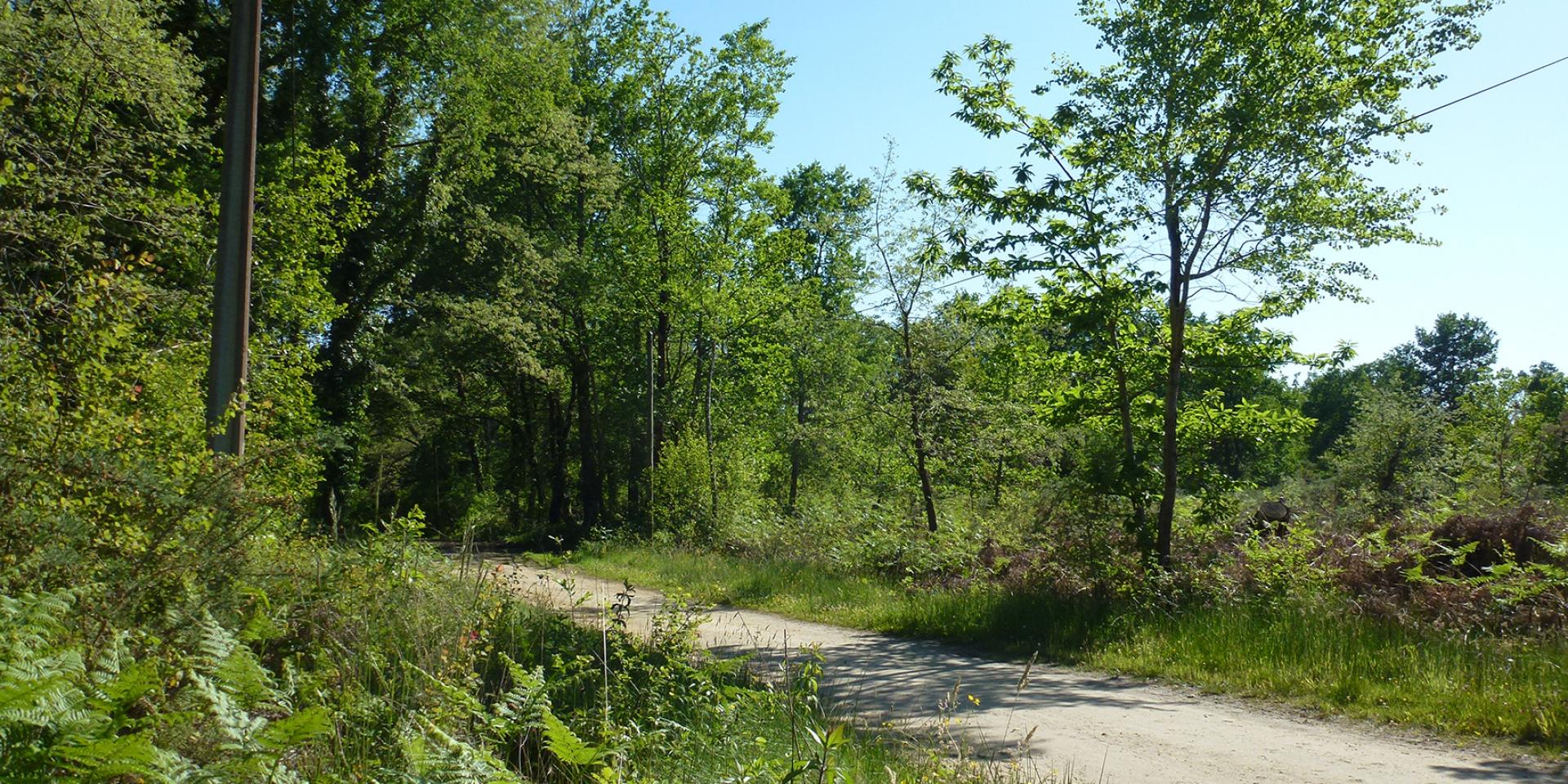 Mazerolles | Mont de Marsan Tourisme