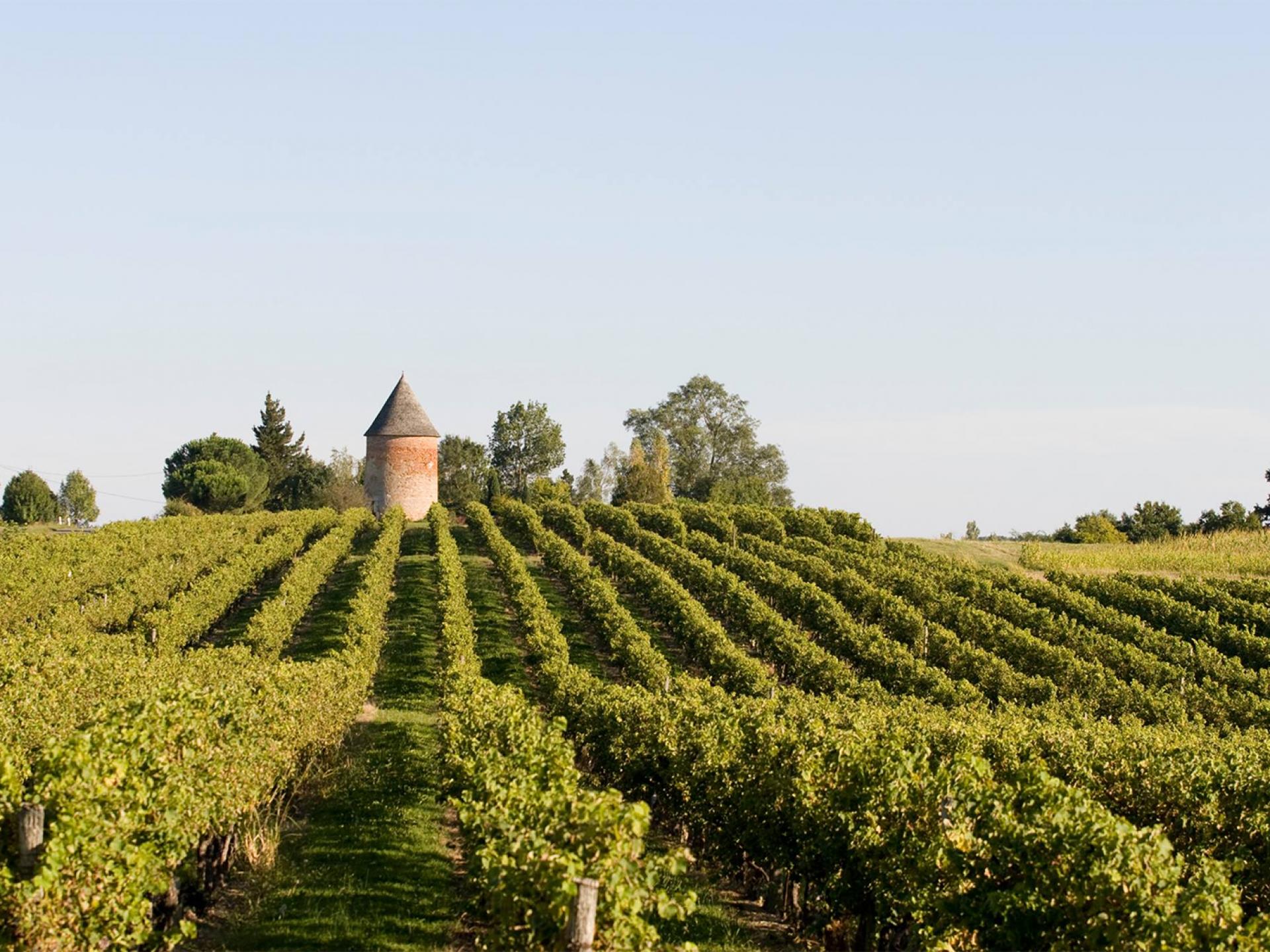 Que faire à Mont de Masran (Landes) ? Les activités & visites las ...