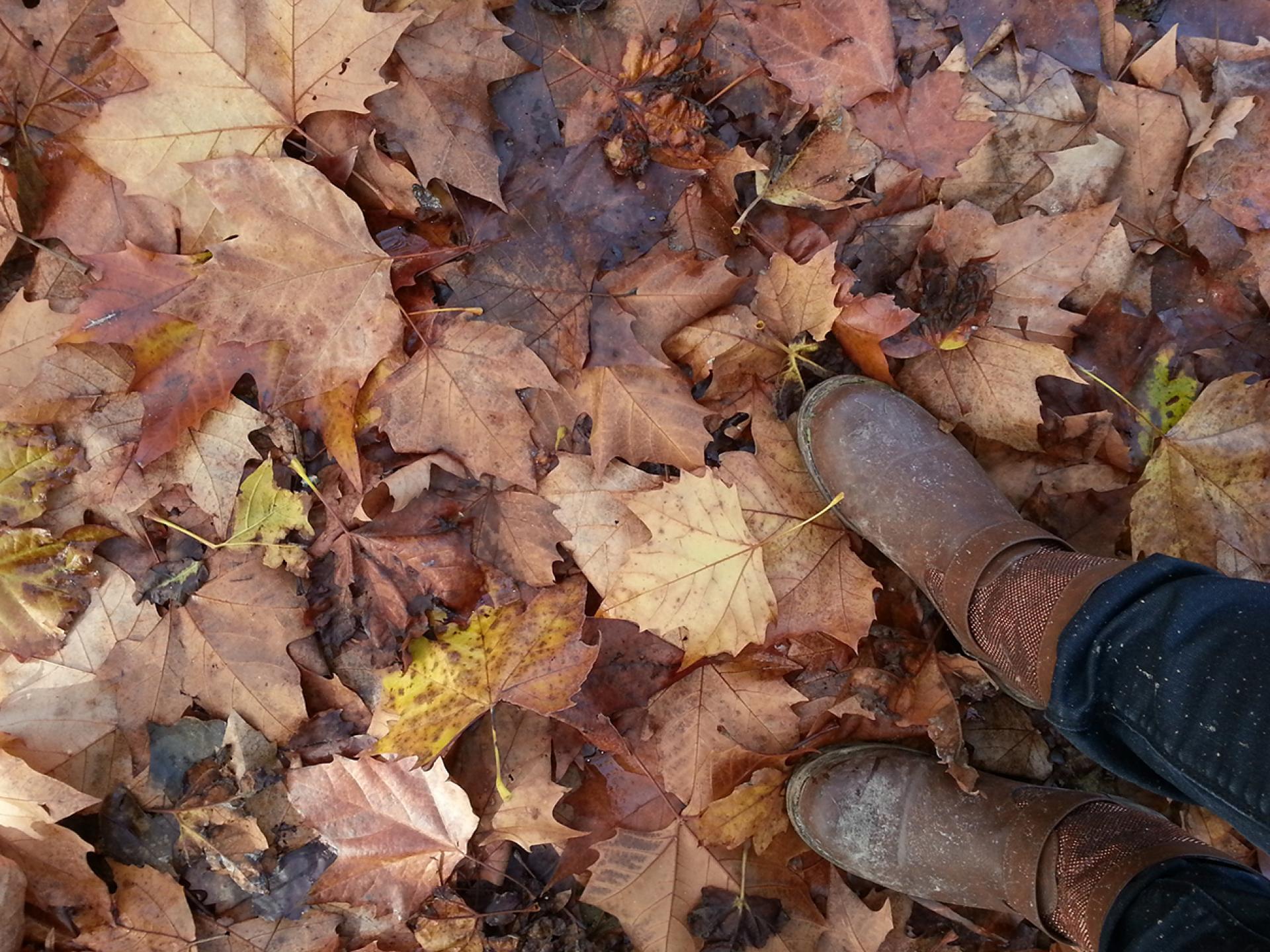 Mont de Marsan (Landes) | Site officiel de l’Office de Tourisme Accueil ...