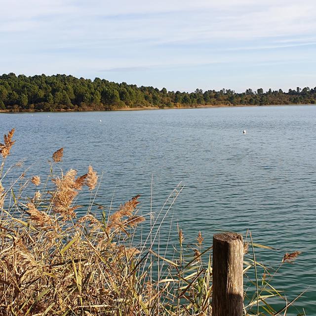 Se ressourcer autour du lac d’Arjuzanx | Mont de Marsan Tourisme