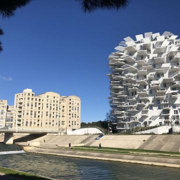 The Arbre Blanc (White tree) | Montpellier Tourism