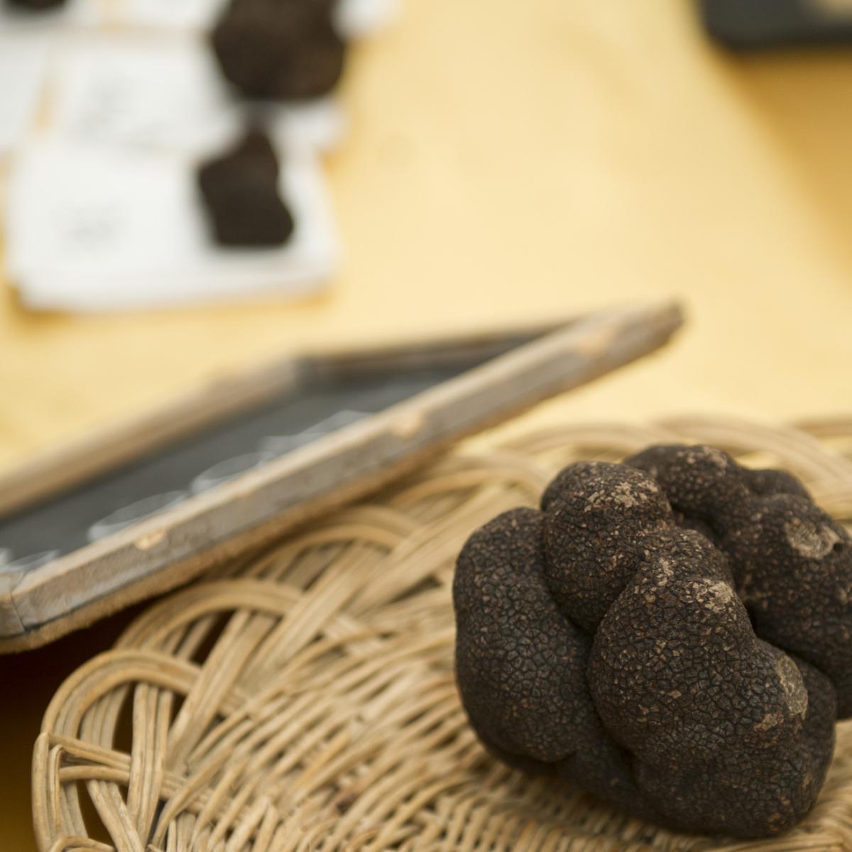 la Fête de la truffe | Montpellier Tourisme