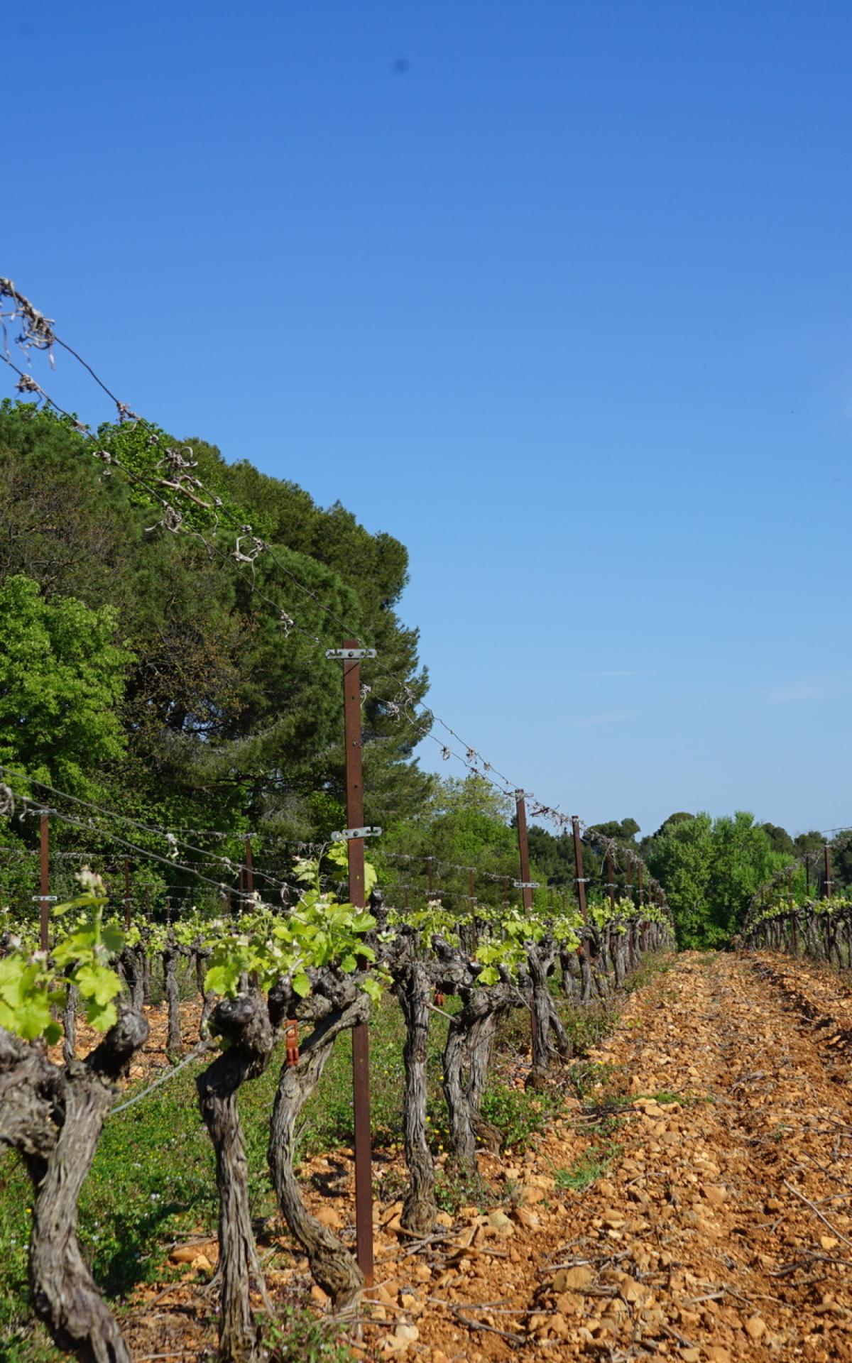 Escapades en région | Montpellier Tourisme