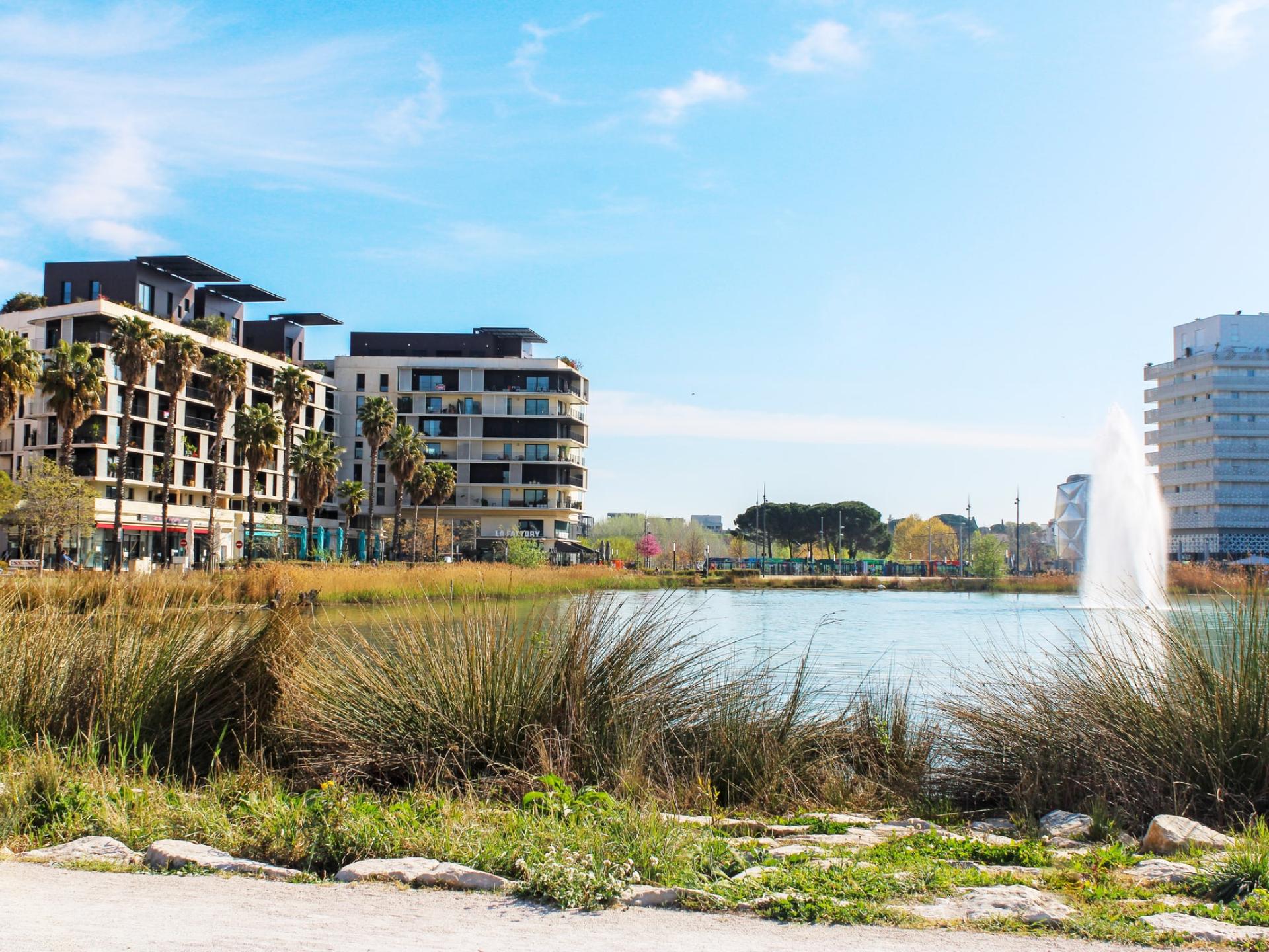 MONTPELLIER MEDITERRANÉE NO CORAÇÃO DA NATUREZA | Turismo em Montpellier