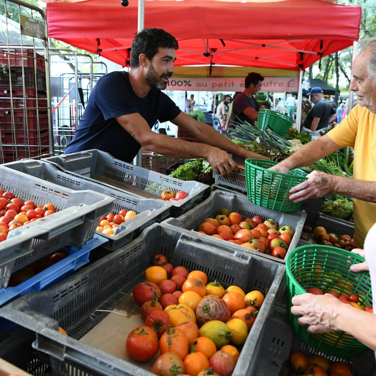 Los mercados de Montpellier | Montpellier Turismo