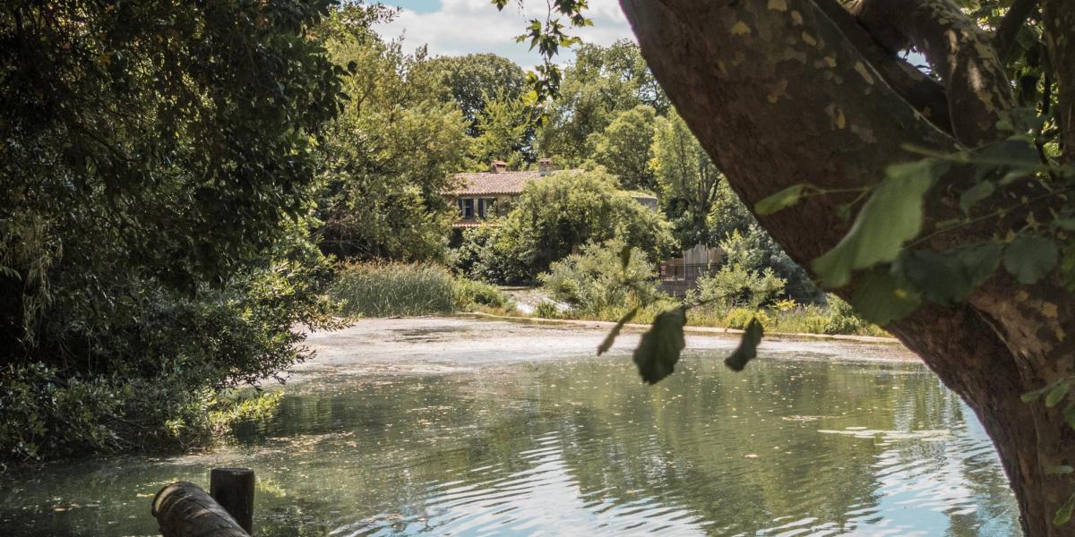 Castelnau-le-Lez | Montpellier Tourisme