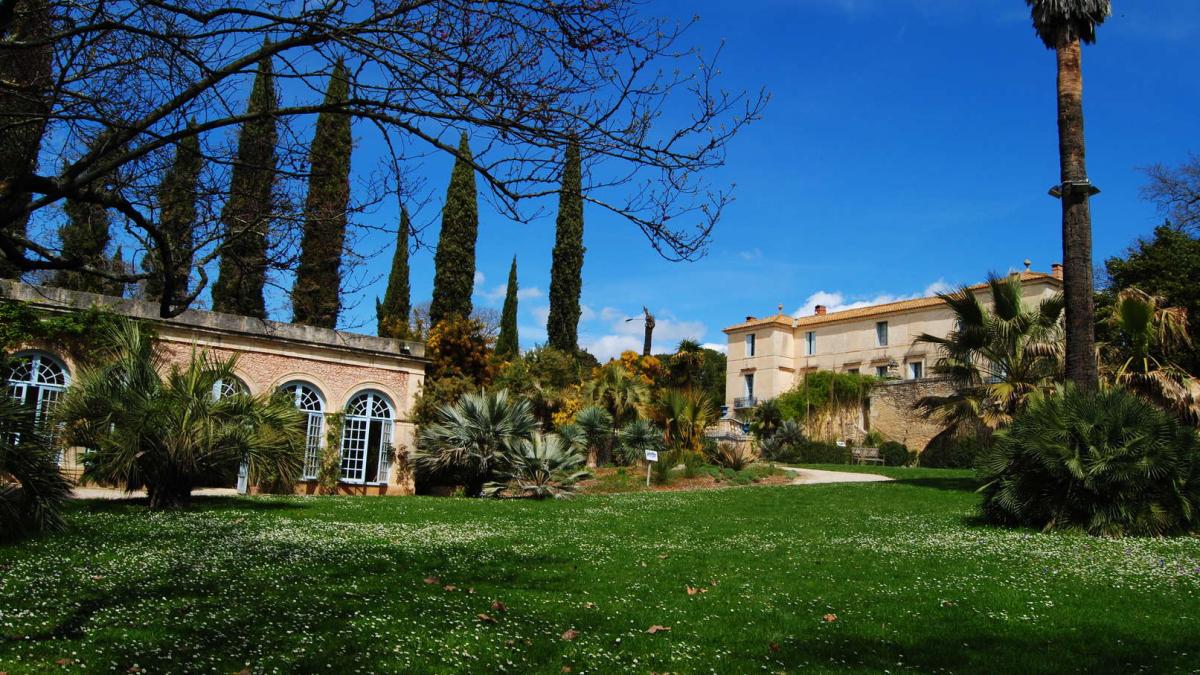 A complete afternoon in Flaugergues | Montpellier Tourism