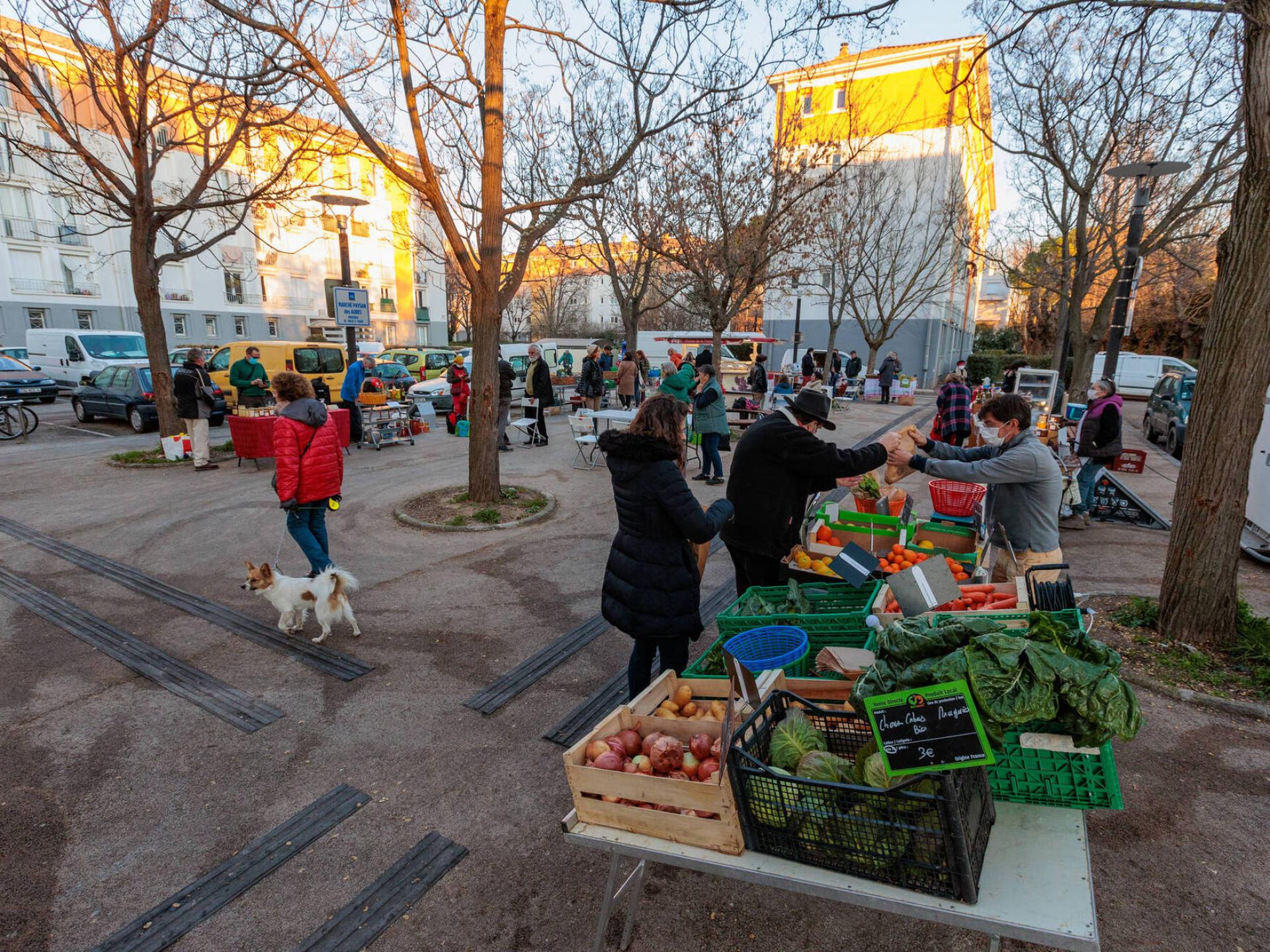 Covered and open-air markets in Montpellier | Montpellier Tourism