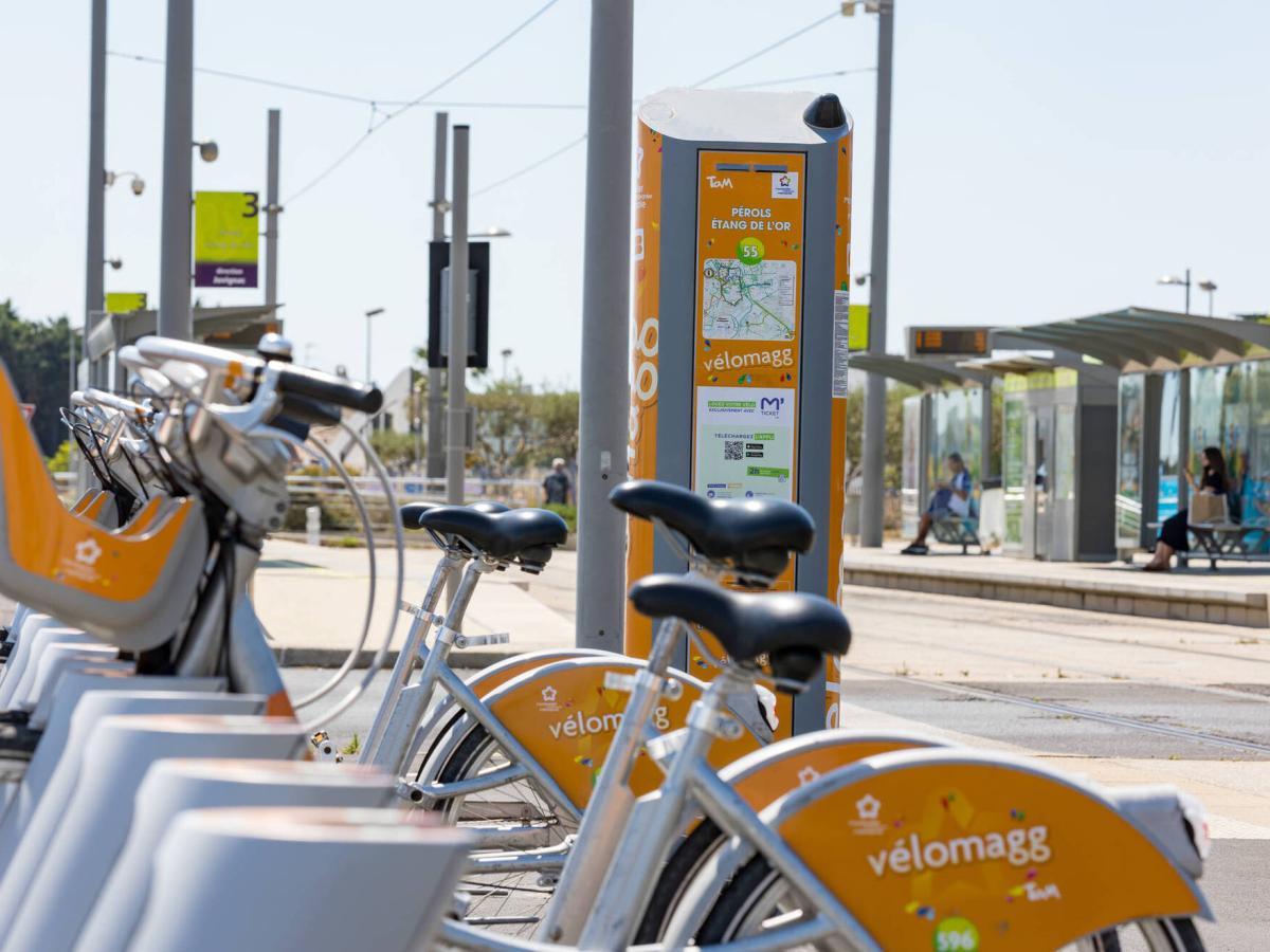 Explore Montpellier by bike | Montpellier Tourism