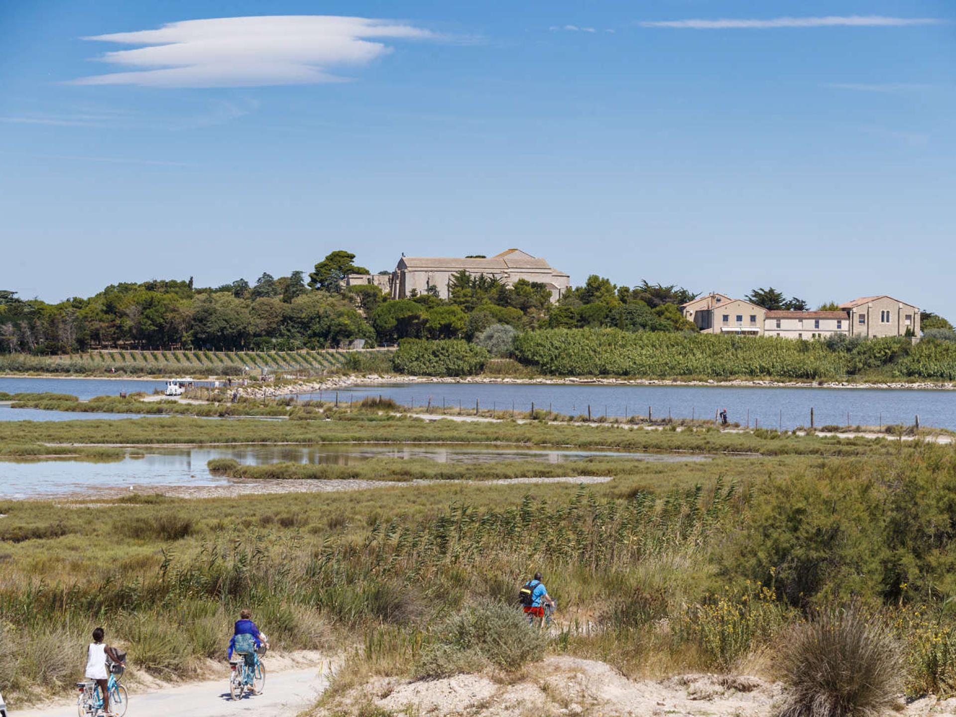 The Via Rhôna bike path outside Montpellier | Montpellier Tourism