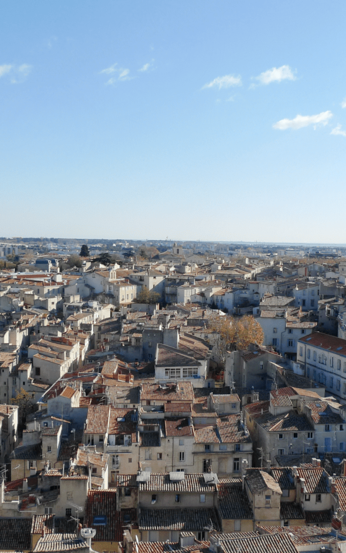 Top 4 of the beautiful viewpoints in Montpellier | Montpellier Tourism