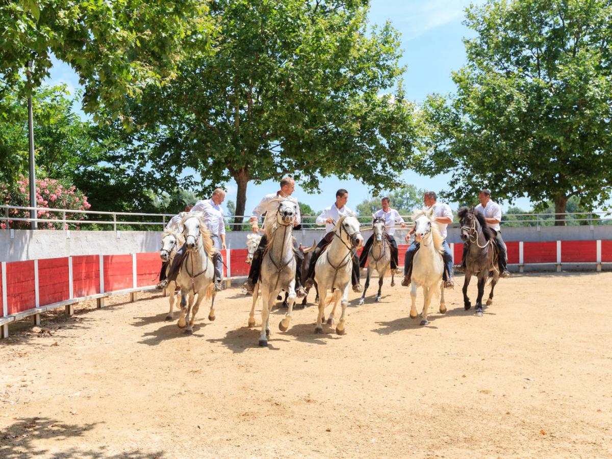 DIE CAMARGUE | Montpellier Tourismus