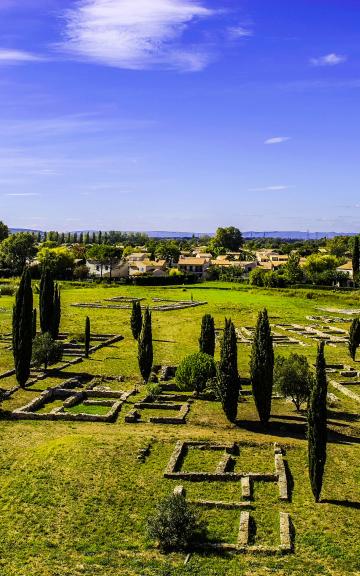 Lattes | Montpellier Tourism