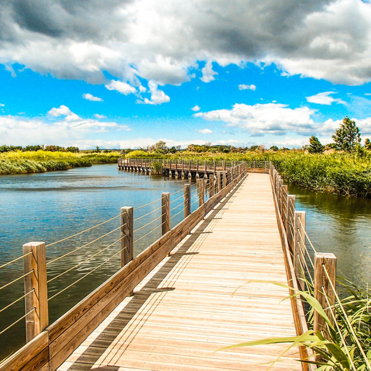 Au cœur de la nature | Montpellier Tourisme