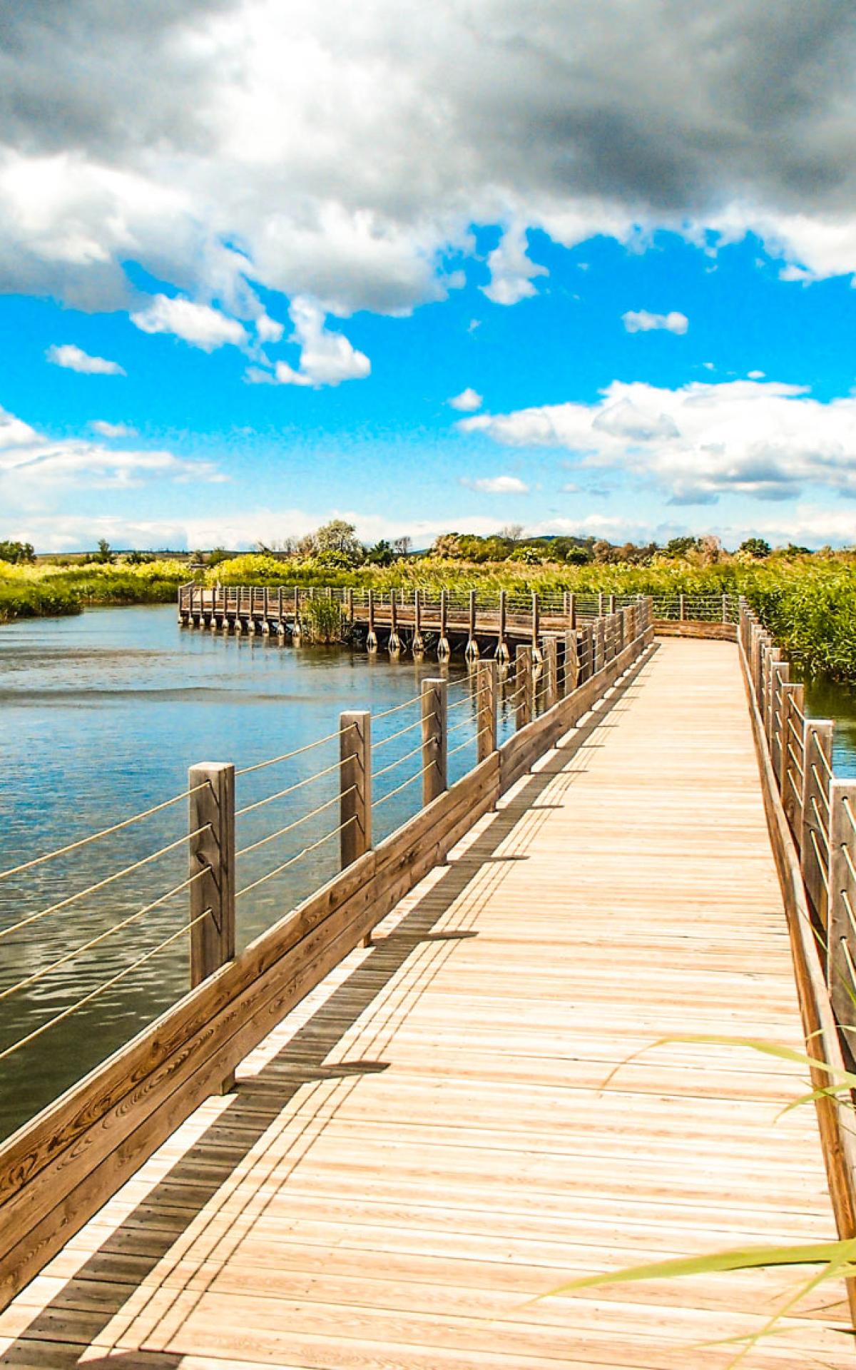 Montpellier au cœur de la nature | Montpellier Tourisme