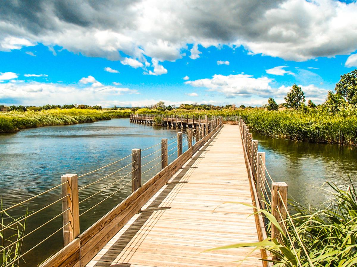 Au cœur de la nature | Montpellier Tourisme